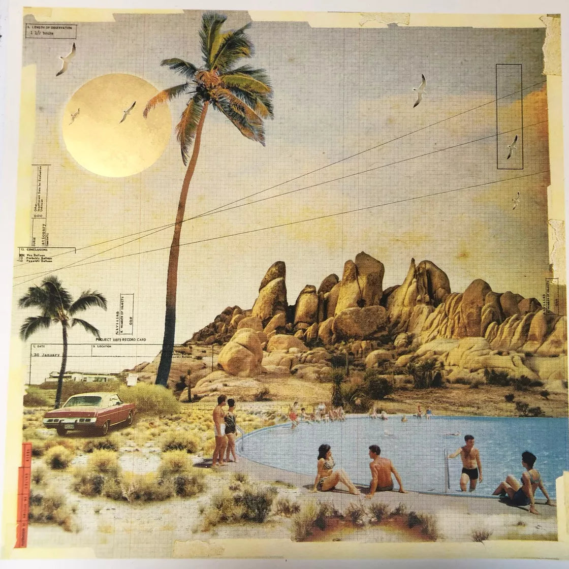 Maxine Gregson - The Blue Lagoon – Joy Fantastic